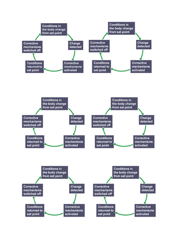 AQA GCSE Biology (9-1) B10.1 Principles of homeostasis FULL LESSON ...