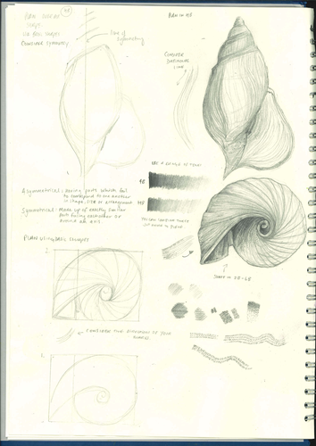 Pencil shell help sheet | Teaching Resources