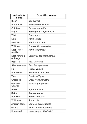 Classification , Binomial Nomenclature, Taxonomy Rank | Teaching Resources