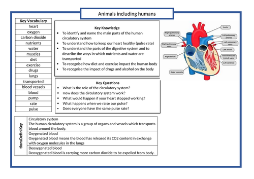 ALL Year 6 Science Knowledge Organisers | Teaching Resources
