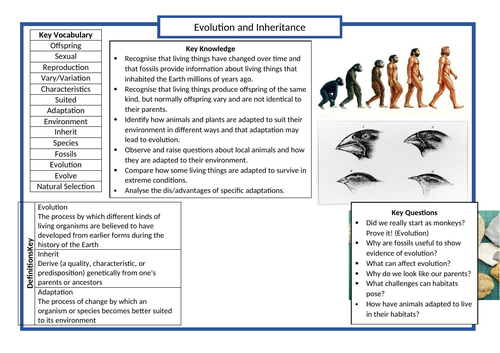 ALL Year 6 Science Knowledge Organisers | Teaching Resources