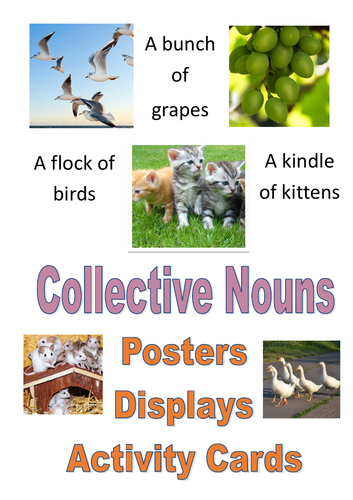 COLLECTIVE NOUNS Posters and Cards | Teaching Resources