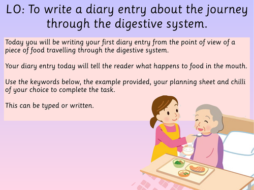 Diary Entry- Year 4- Journey through the digestive system. | Teaching ...