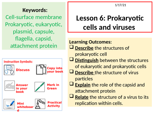 AQA 3.6 Prokaryotic and viruses AS Biology | Teaching Resources