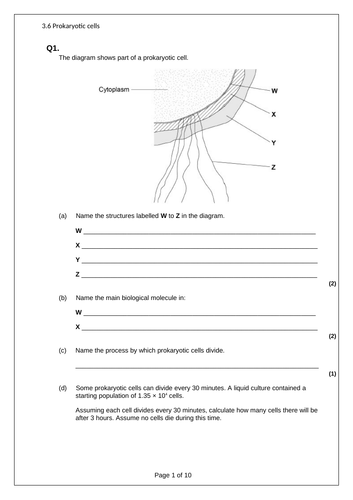 AQA 3.6 Prokaryotic and viruses AS Biology | Teaching Resources