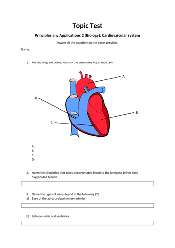 Topic Test: Cardiovascular system | Teaching Resources