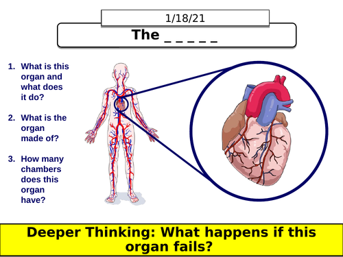 GCSE AQA B4 TOPIC BUNDLE | Teaching Resources