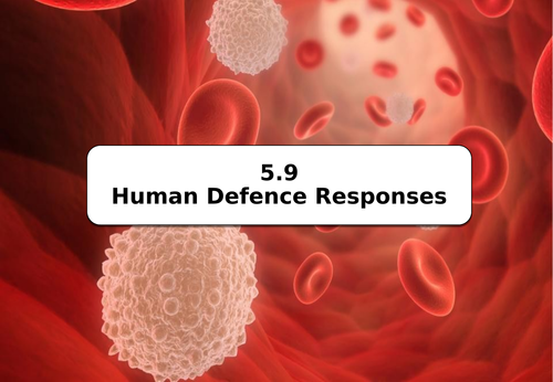 AQA GCSE B5.9 Human Defence Responses (NEW SPEC) | Teaching Resources