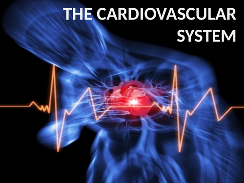 AQA A-Level PE - The Cardiovascular System | Teaching Resources