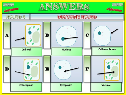 Cells and microscopy Science Quiz | Teaching Resources