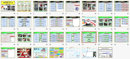 Genetics Science Quiz | Teaching Resources
