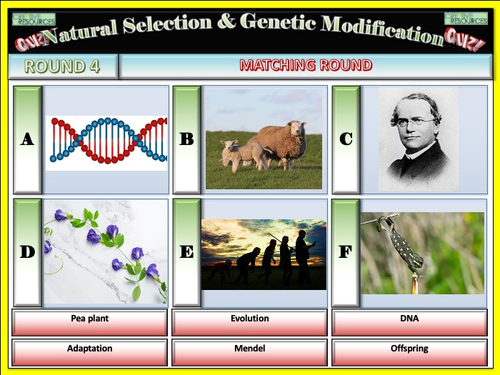 Natural selection and genetic modification | Teaching Resources