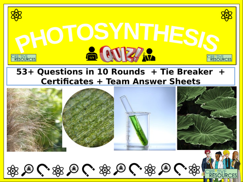 Photosynthesis Science Quiz | Teaching Resources