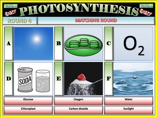 Photosynthesis Science Quiz | Teaching Resources