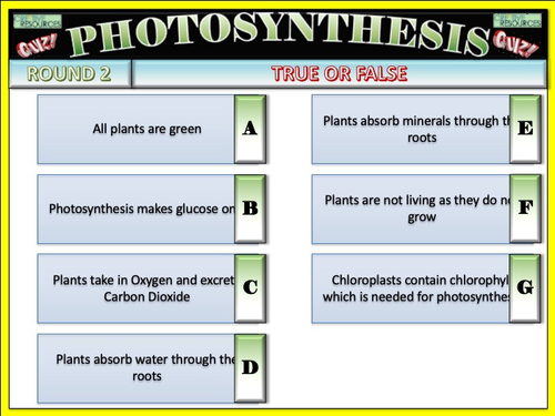 Photosynthesis Science Quiz | Teaching Resources