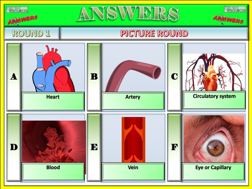 Circulatory system Science Quiz | Teaching Resources