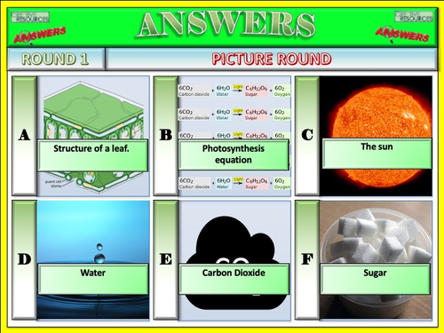 Plants and photosynthesis Science Quiz | Teaching Resources