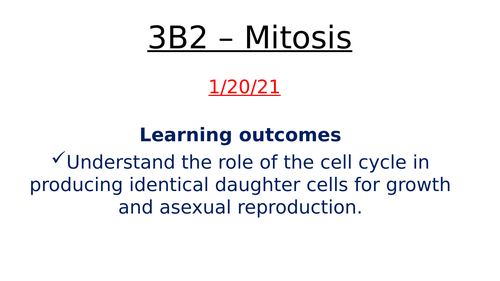 The Cell Cycle and Mitosis | Teaching Resources