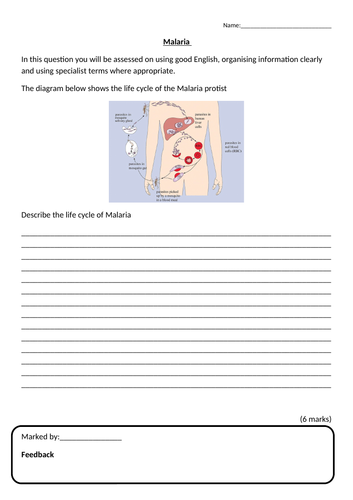 KS4 AQA GCSE Biology (Science) Protist Disease Lesson & Activities ...