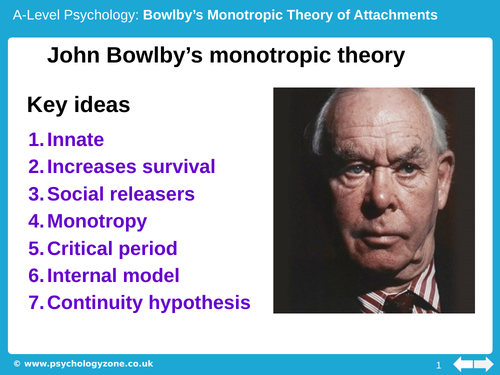 Bowlby's monotropic theory of attachments | Teaching Resources