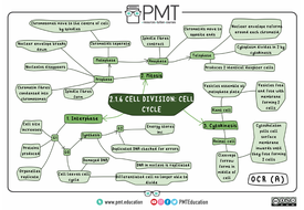 OCR (A) A-level Biology Mindmaps | Teaching Resources