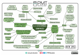 OCR (A) A-level Biology Mindmaps | Teaching Resources