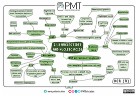 OCR (A) A-level Biology Mindmaps | Teaching Resources