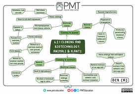 OCR (A) A-level Biology Mindmaps | Teaching Resources