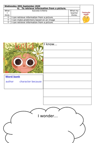 Wild by Emily Hughes 2 Week English Unit KS1 | Teaching Resources