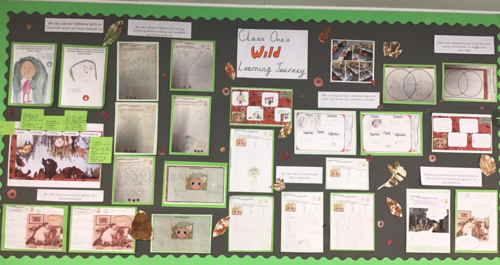 Wild by Emily Hughes 2 Week English Unit KS1 | Teaching Resources