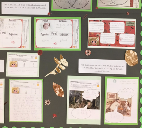 Wild by Emily Hughes 2 Week English Unit KS1 | Teaching Resources