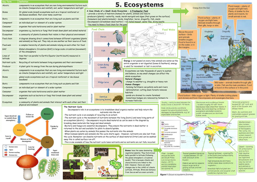 18 Knowledge Organisers AQA 1-9 GCSE Geography All Topics for Secondary BUNDLE | Teaching Resources