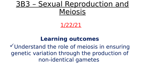 Meiosis and the formation of gametes | Teaching Resources