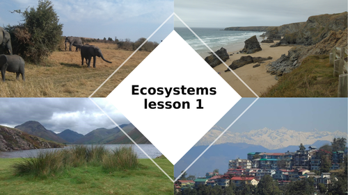 Science Key Stage 2 Ecosystems | Teaching Resources