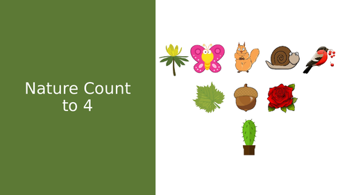 Nature Counting to 5 | Teaching Resources