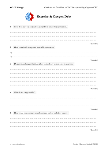 GCSE Bio - Bioenergetics Topic - all worksheets and answers pack ...