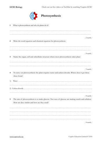 GCSE Bio - Bioenergetics Topic - all worksheets and answers pack ...