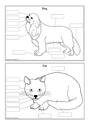 Labelling pets - pictures of pets | Teaching Resources