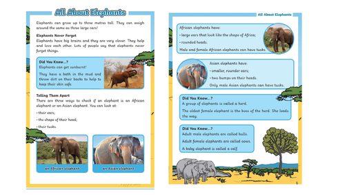 Year 2- Reading- All about Elephants | Teaching Resources