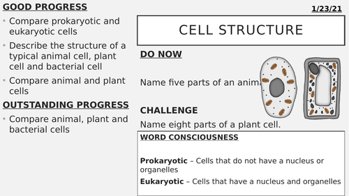 Cell Biology AQA Foundation lesson bundle. | Teaching Resources