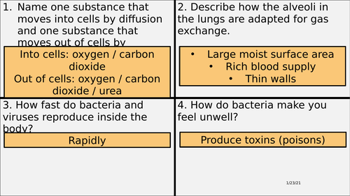 Bioenergetics AQA Foundation lesson bundle. | Teaching Resources