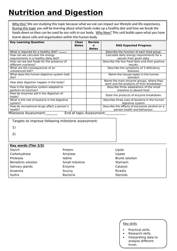 Nutrition and digestion lessons 9 - 12 (including assessment ...