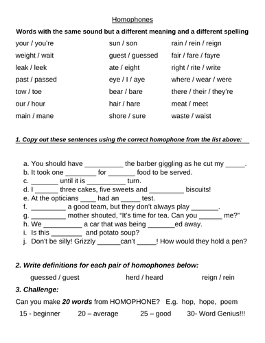 Homophone Worksheet Years 4 - 5 | Teaching Resources