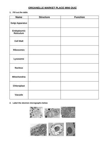 Cell structure - A Level Biology | Teaching Resources