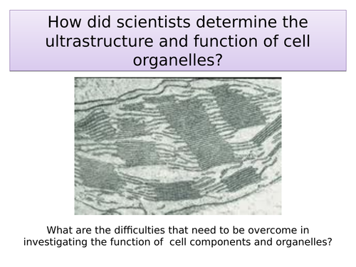 Cell structure - A Level Biology | Teaching Resources