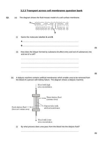 Transport across membranes questions | Teaching Resources
