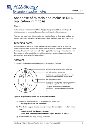 Mitosis and Cancer A Level Biology | Teaching Resources