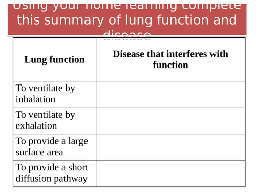 AQA Gas Exchange A Level Biology | Teaching Resources