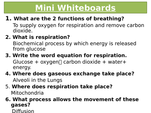 AQA Gas Exchange A Level Biology | Teaching Resources