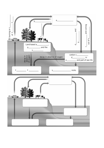The carbon cycle KS3 Activate Science | Teaching Resources